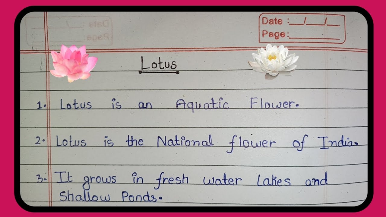 10 Line on Lotus in English| Essay on Lotus 10 best lines - YouTube
