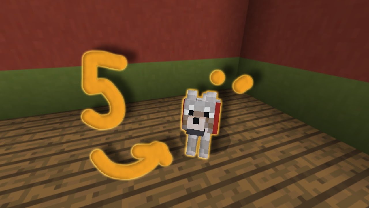 Top 5 Tricks You can do With Dogs-Minecraft PE - YouTube
