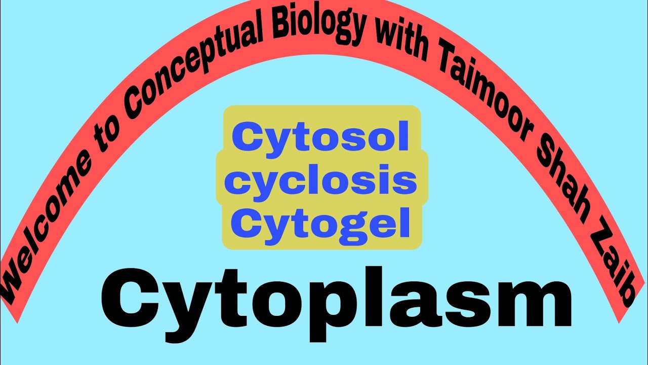 Cytoplasm, Cytosol, cytogel and Cytoplasmic Matrix.. - YouTube