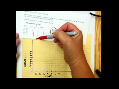 How To Make A Line Graph For Plant Growth