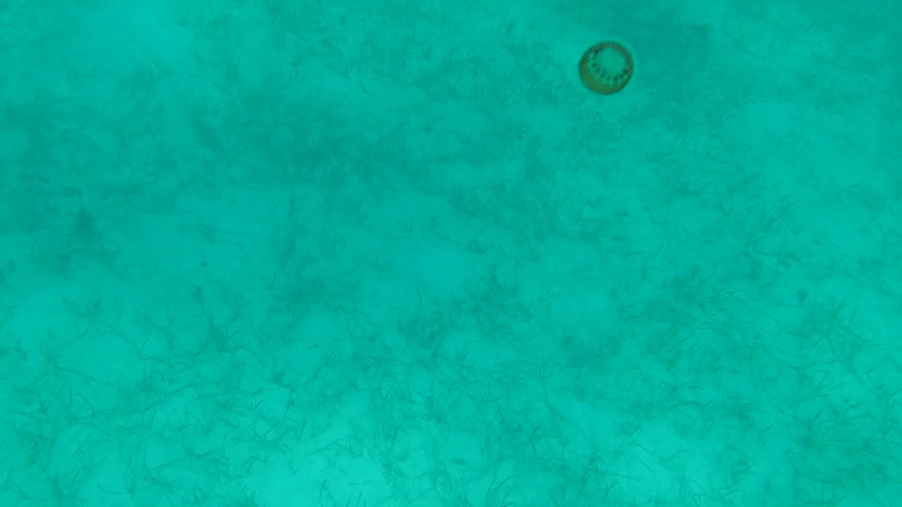 Meeks Patch, Eleuthera, Bahamas - YouTube