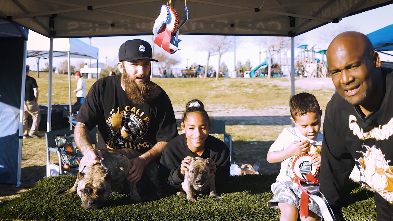 Concrete Jungle 3 Bully Show & Funshow - Cali Royal Bullies (SMOKE ...