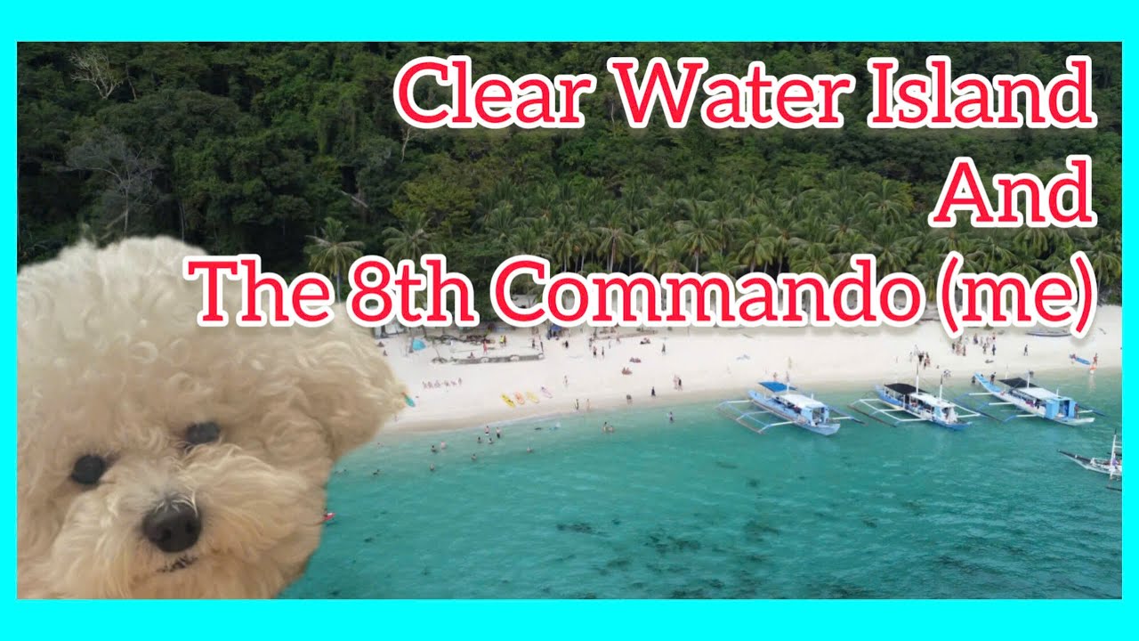 Shimizu Island and 7 Commando Beach | El Nido, Palawan, Philippines ...