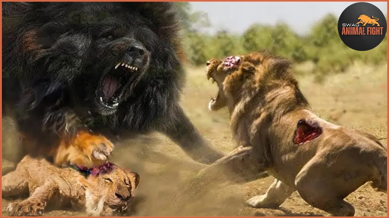 45 Times Hyenas Messed With The Wrong Animals And What Happens Next ...