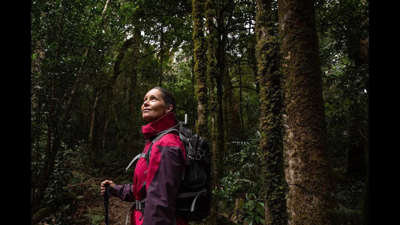 Scenic Rim Trail, Queensland - Great Walks Of Australia - YouTube