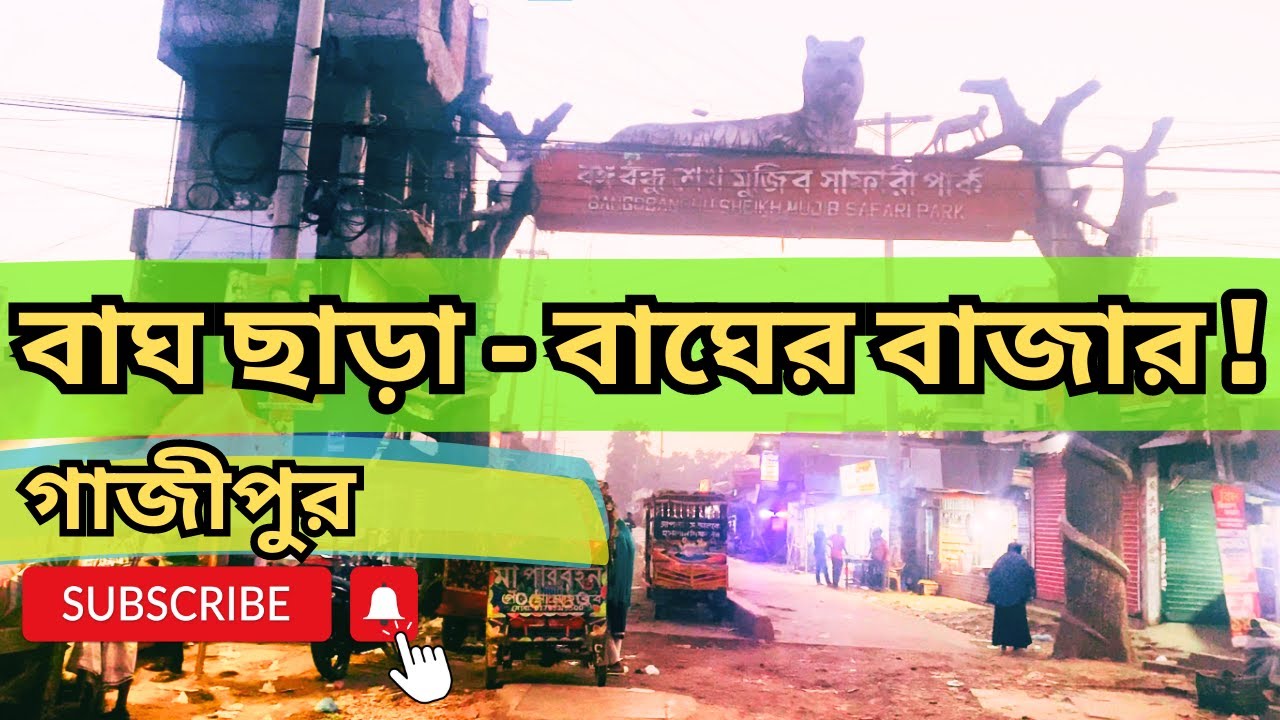 বাঘ ছাড়া - বাঘের বাজার || Bagher Bazar Gazipur - Street View - YouTube