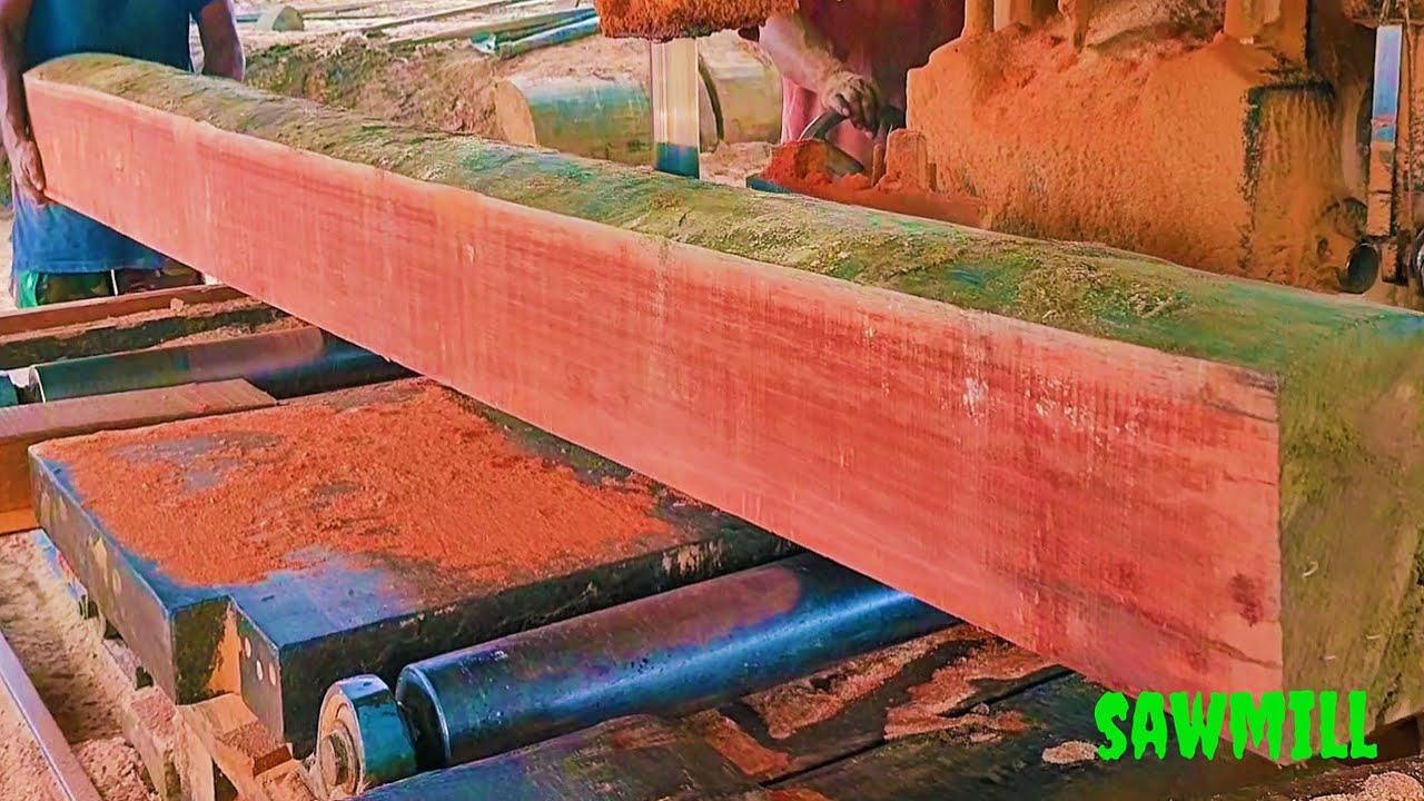 Wujud dari kayu Meranti merah vs Meranti putih - YouTube