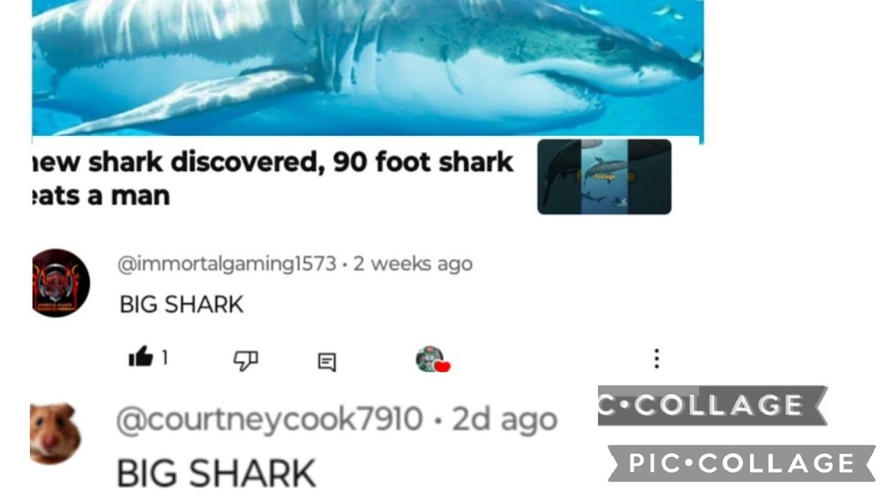 new shark discovered, 90 foot shark eats a man - YouTube