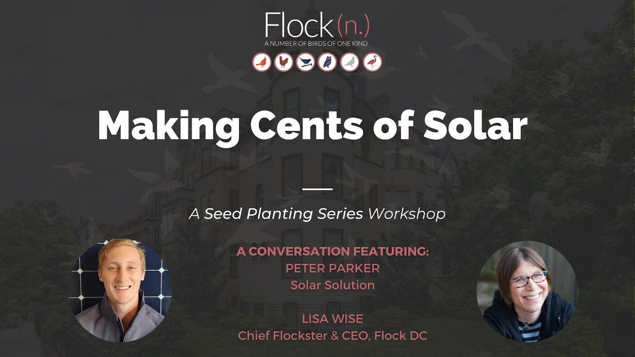 Seed Planting Series: Making Cents of Solar with Solar Solution - YouTube
