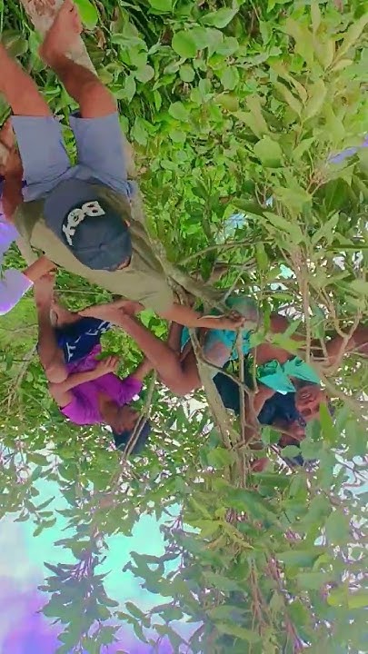 28 August 2024 - YouTube