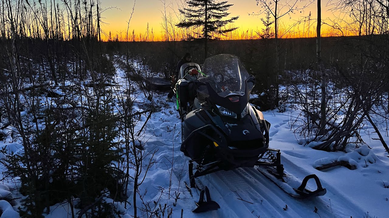 Alaskan wolf trapping- trail set - YouTube