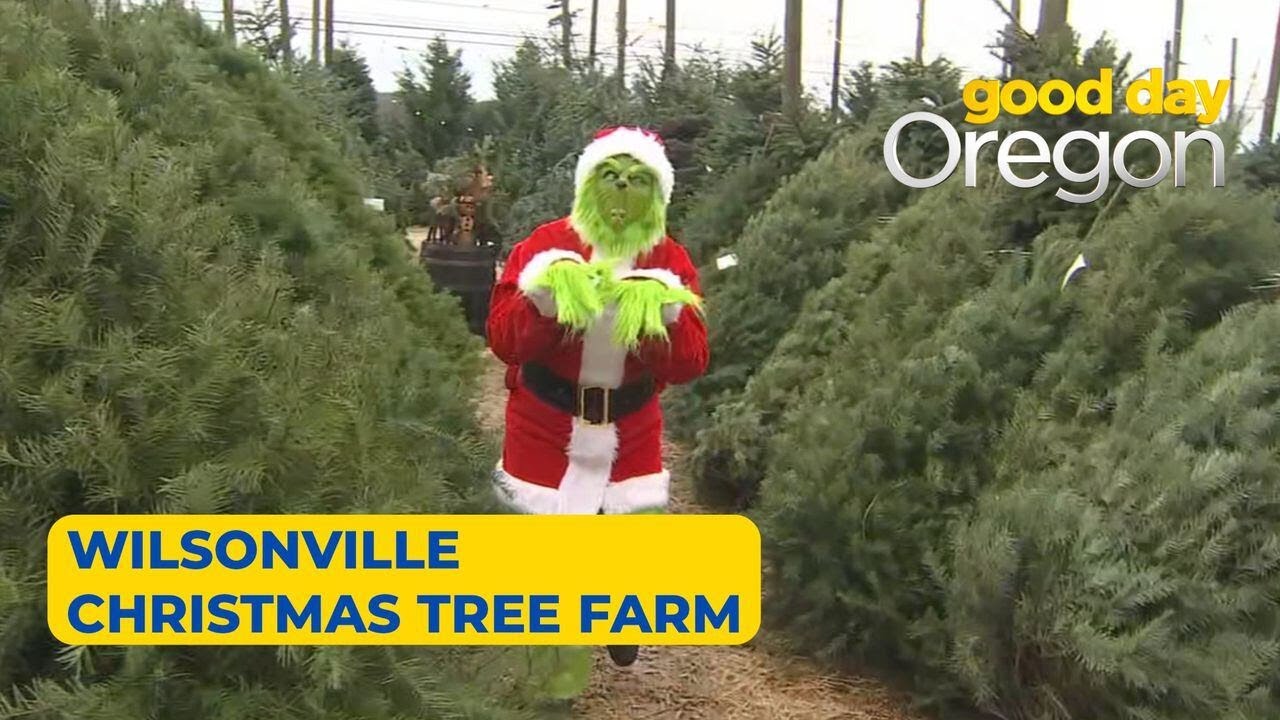 Christmas trees at Yesteryear Farms - YouTube