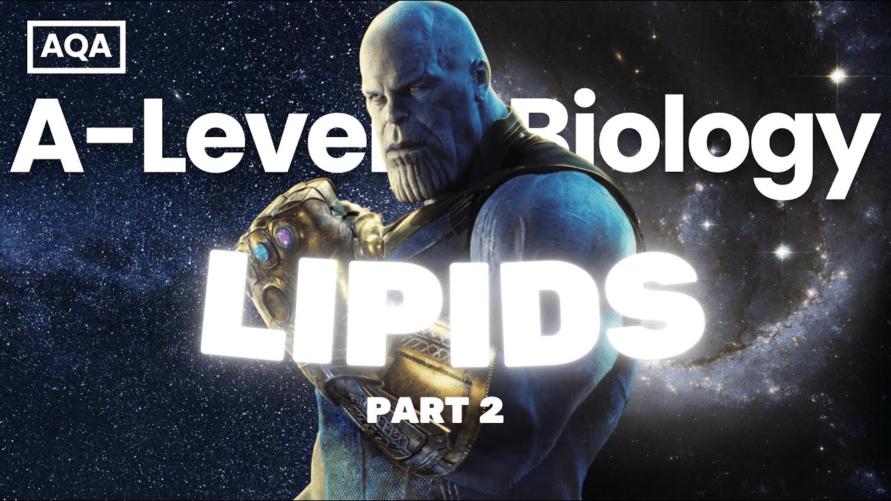 Why LIPIDS Are SO Important | Advanced Biology | Lipids Part 2 - YouTube