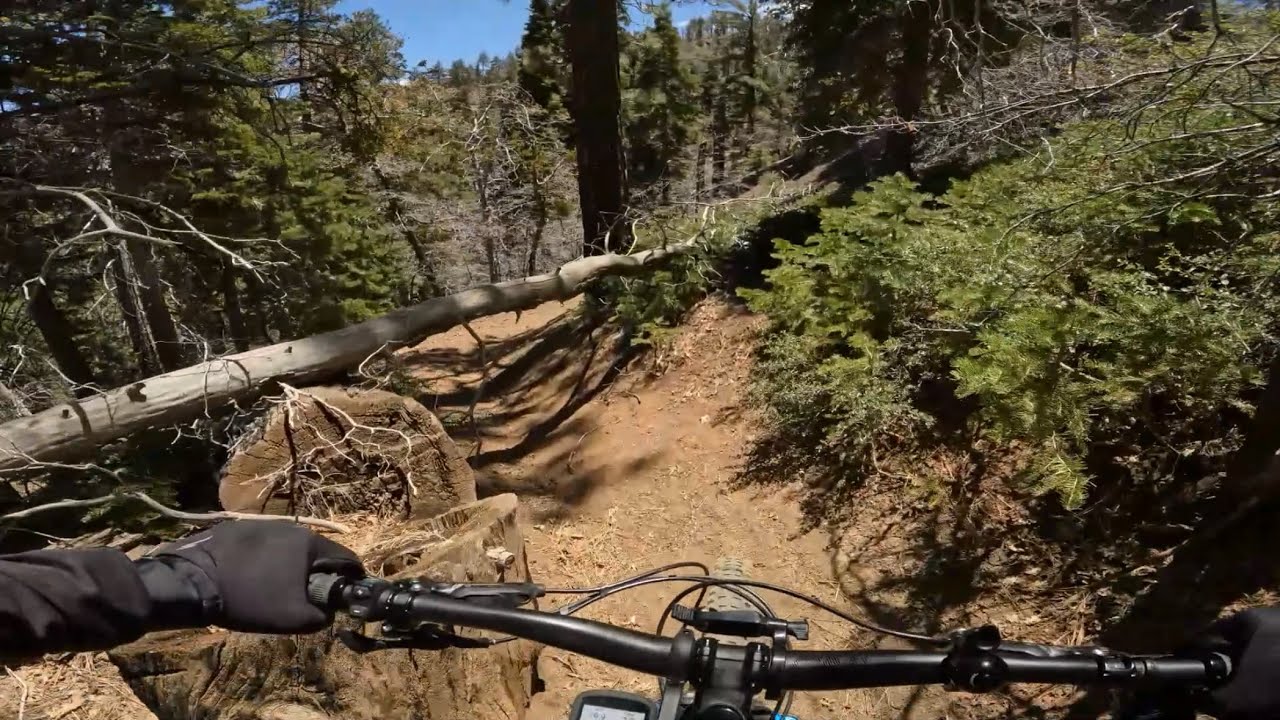 Watch out for that Tree - YouTube