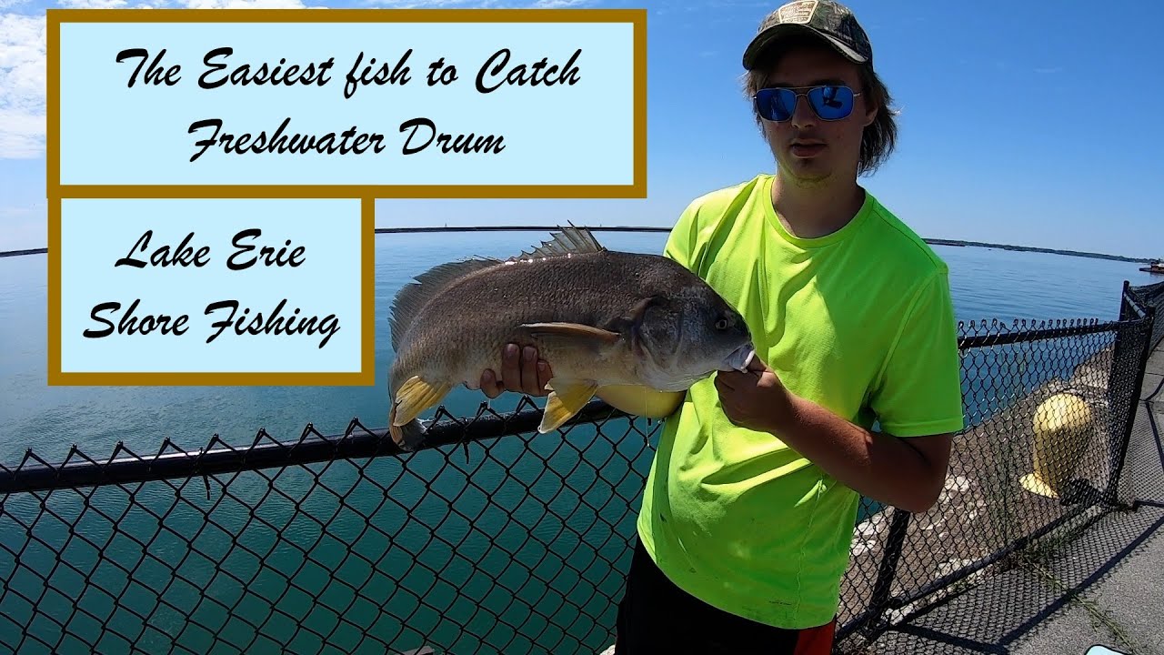 The Easiest Fish to catch (Lake Erie Sheephead Fishing) - YouTube