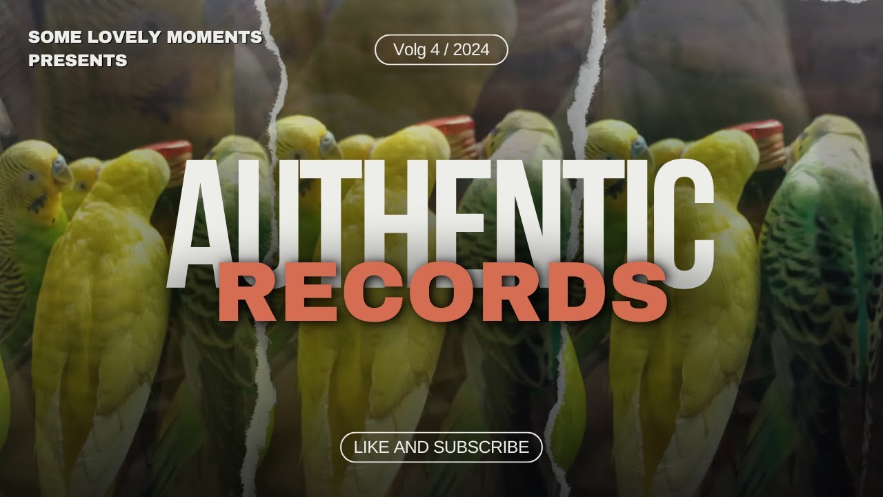 | Authentic Records | Colony Explore | Bird Feeding | Some lovely ...