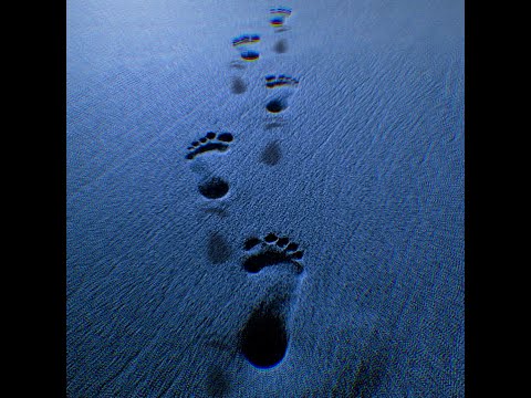 Zubi - Walk Like Me (Official Lyric Video)