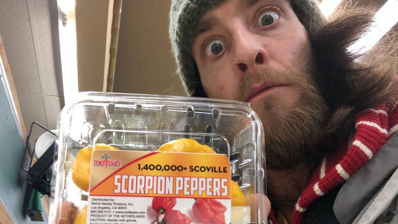SCORPION PEPPER CHALLENGE , coming soon!1,400,000 scoville units - YouTube