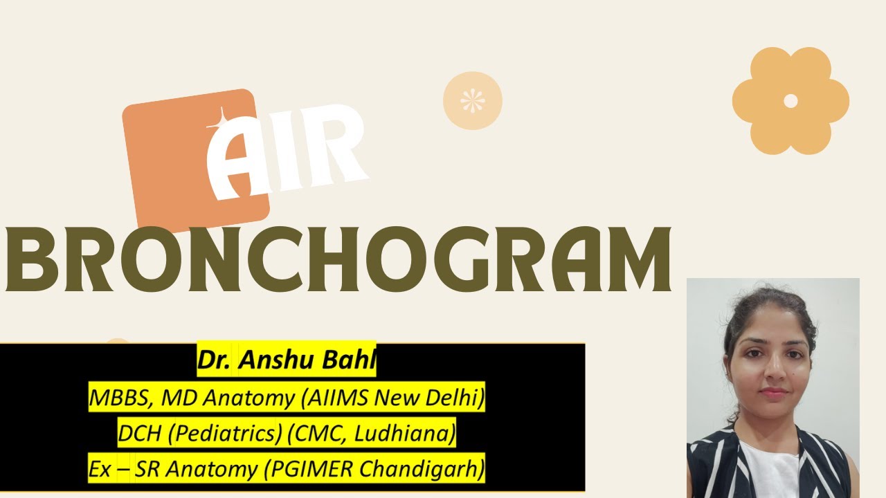 Air Bronchogram| Chest X Ray| Pediatrics| Radiology| Dr Anshu's MBBS ...
