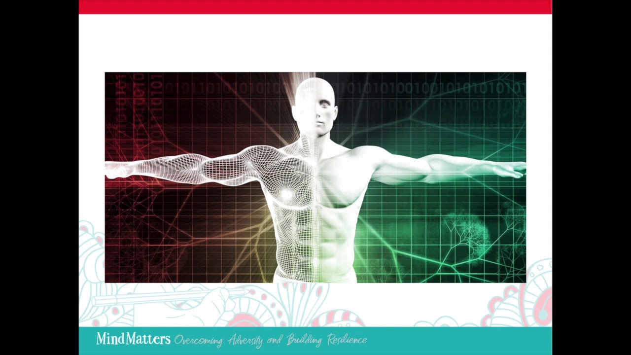 Body Scan (short version) - YouTube