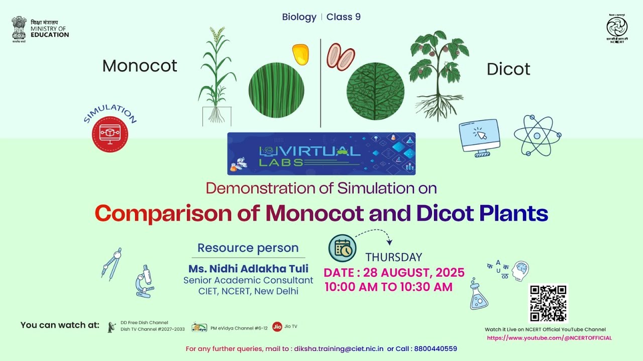 Demonstration of Simulation on Comparison of Monocot and Dicot Plants ...