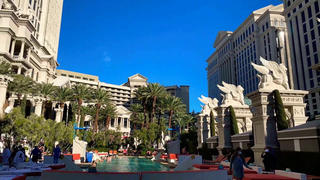 Venus Pool - YouTube