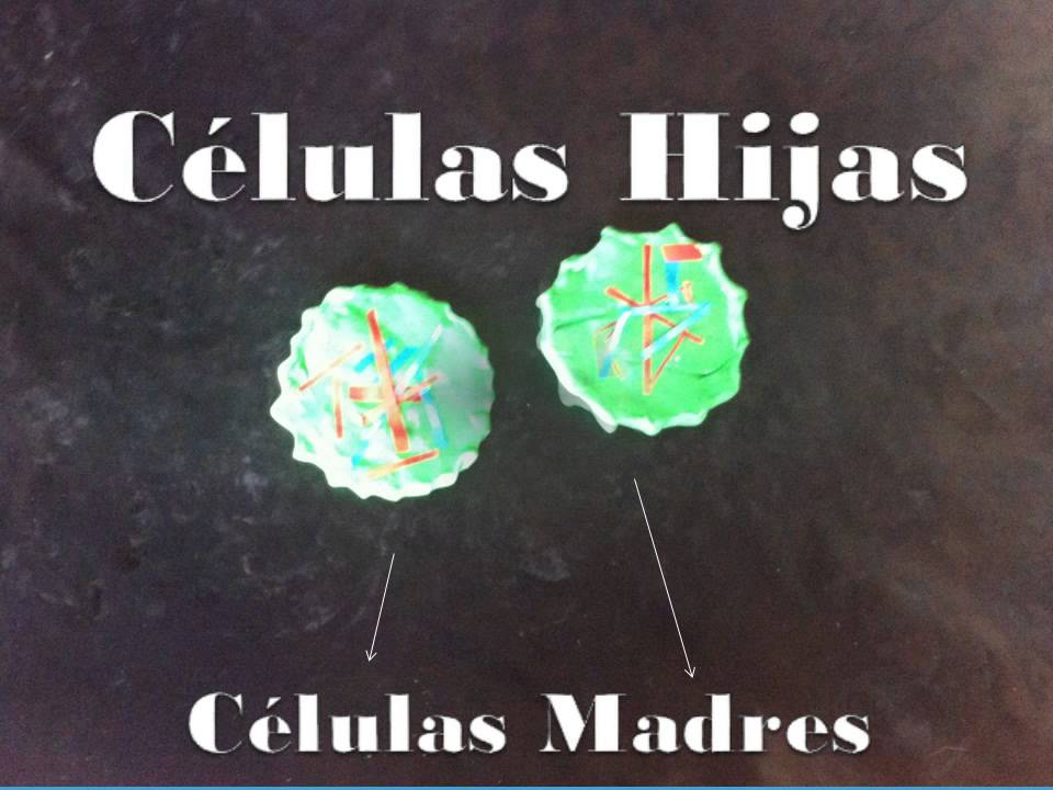 Bipartición (Equipo 1) - YouTube