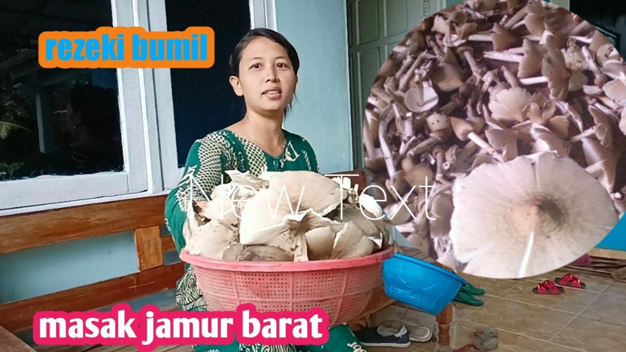 oleh rejeki jamur barat/ jamur trucuk langsung di masak karo pindang ...