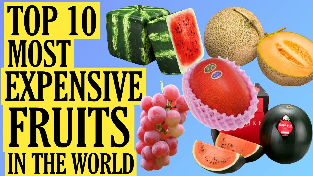 Top 10 Most Expensive Fruits in the World - YouTube