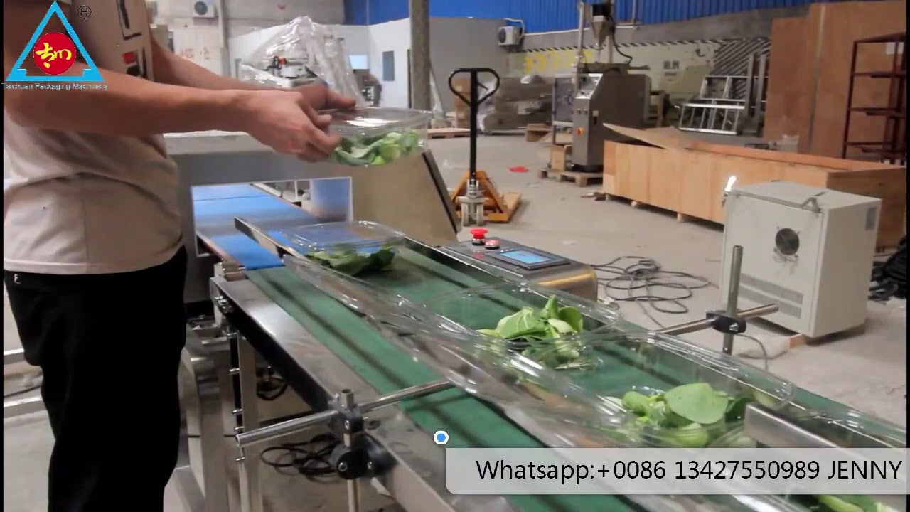 Fresh Vegetable salad Greens lettuce packing machine in plastic box ...