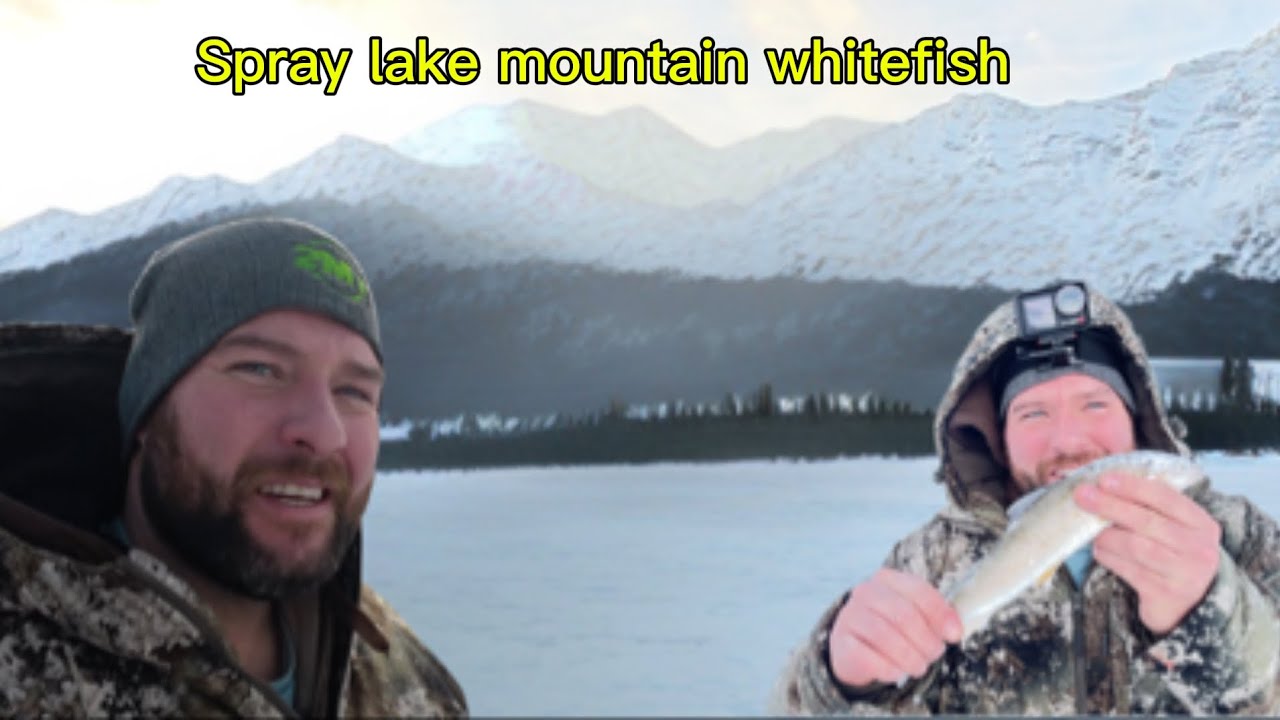 Spray lake Alberta ice 🧊 fishing 🎣 first mountain 🏔️ whitefish 😁 - YouTube