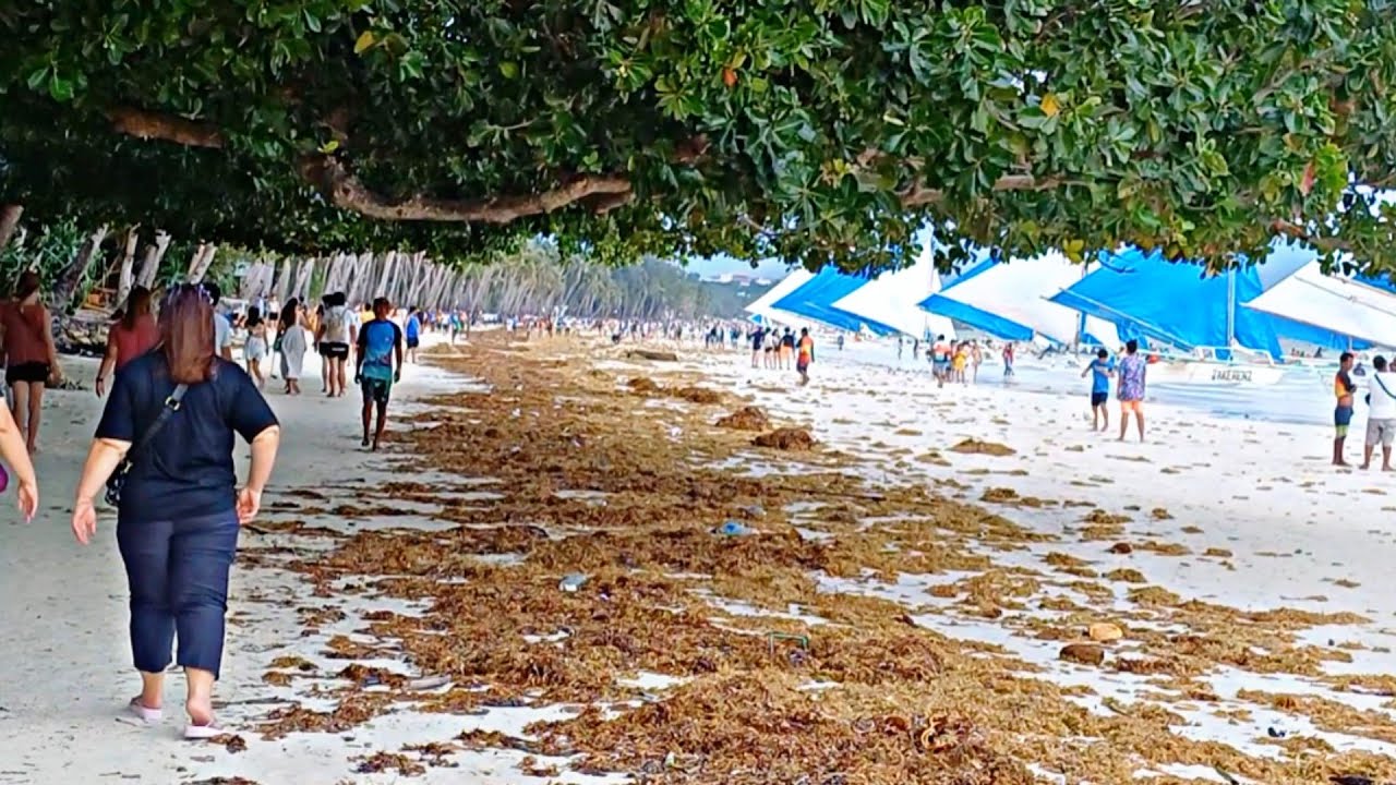 Look! This is BORACAY White Beach on August 10 2024 Daming Dagsa na ...