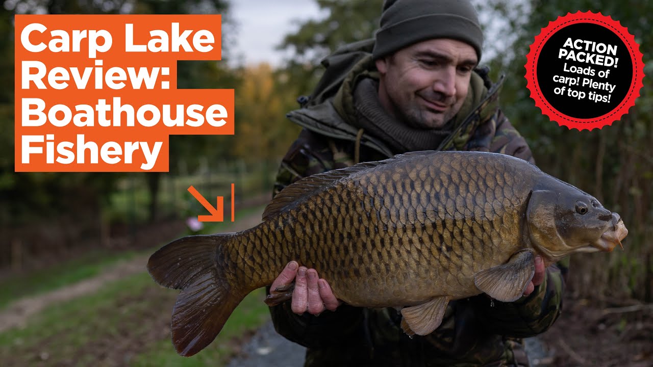 Carp Fishing Open Access Venues Series: Boathouse Fishery Review | Carp ...