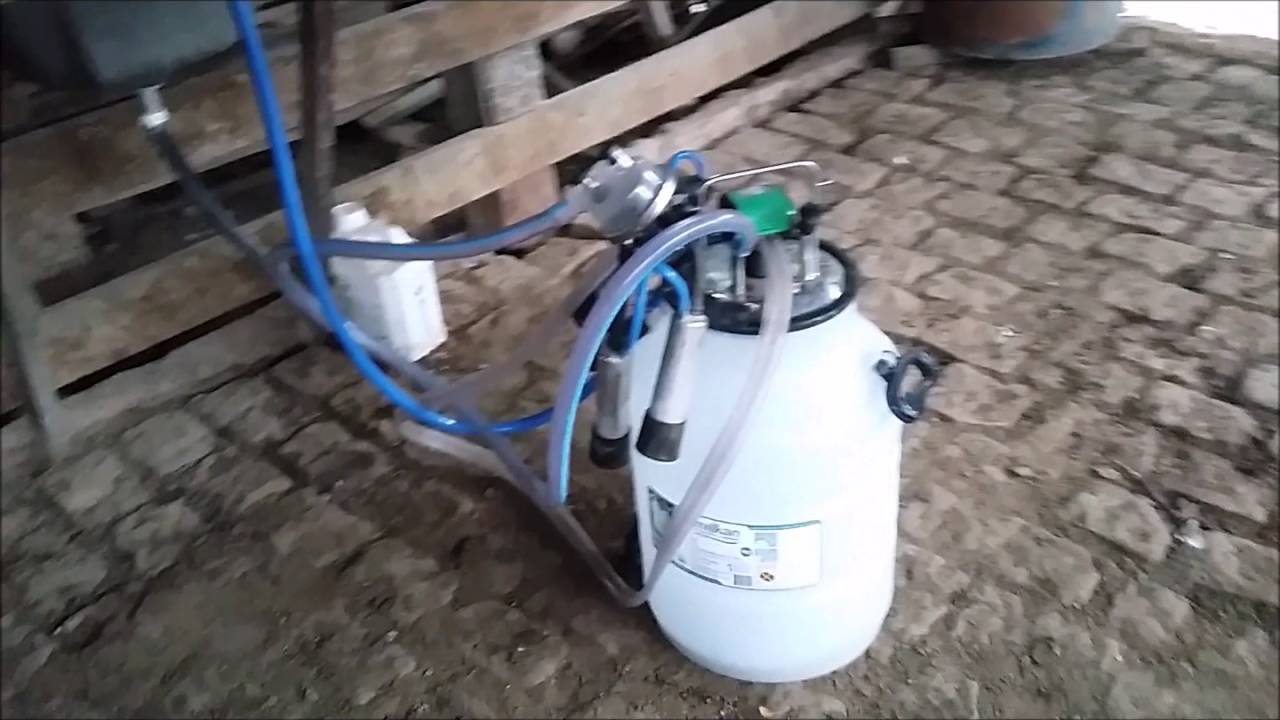 Demonstração da Ordenhadeira Ordeleite Instalada - YouTube
