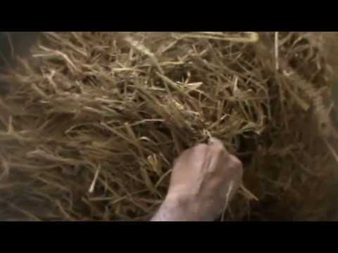 Paddy Chopper, Straw Shredding, Paddy Shredder, biomass shredder, rice ...