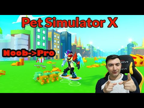 🐶 Pet Simulator X Speed Run | Noob'dan Pro'ya, Oyunu Bitirmek Ama En Güçlü Petlerle 😵😵| ROBLOX