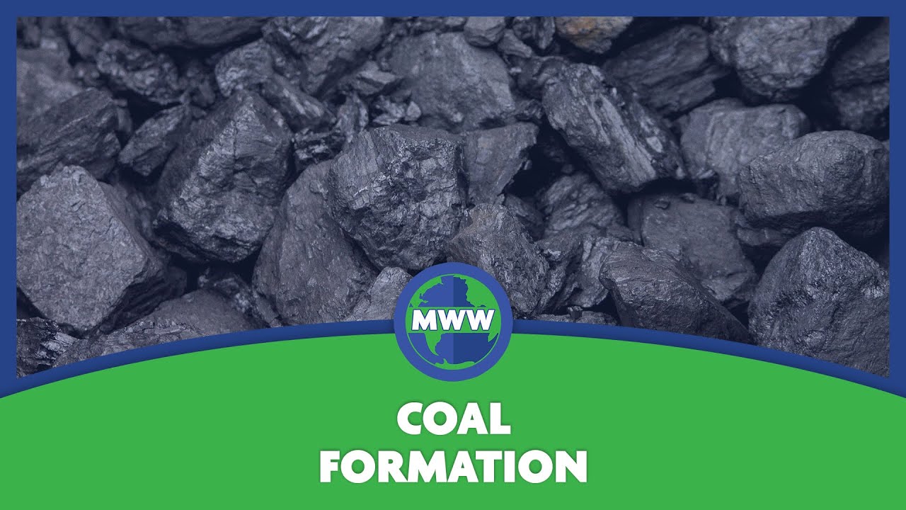 Coal Formation - YouTube