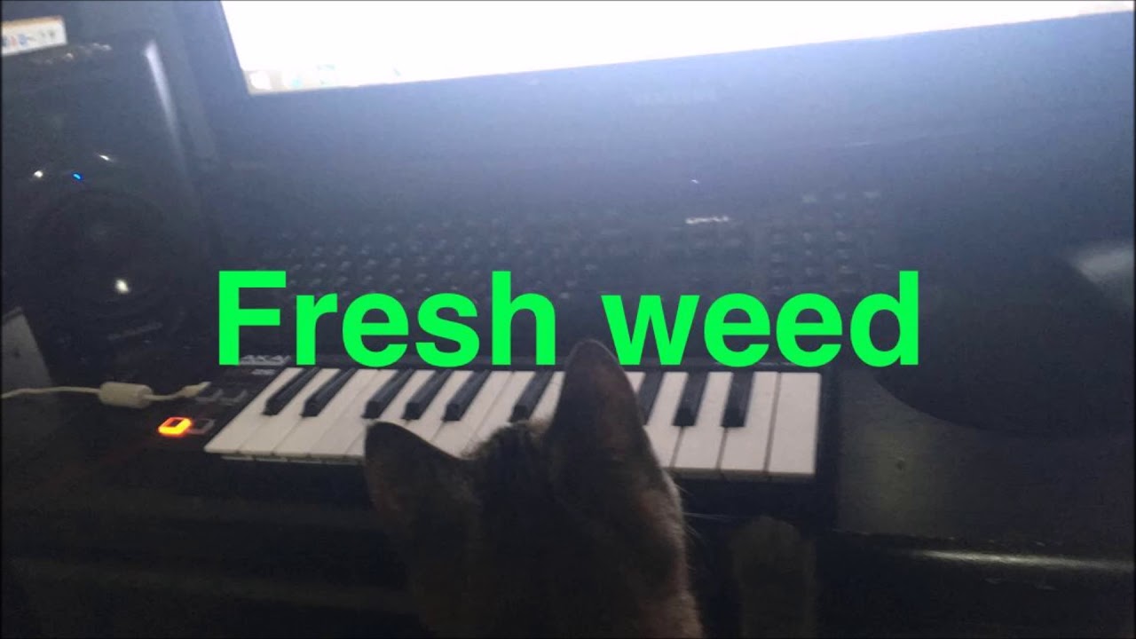 Fresh Weed (FREE Instrumental) - YouTube