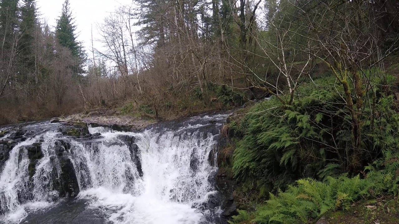 Yacolt Creek Falls , Washington state - YouTube