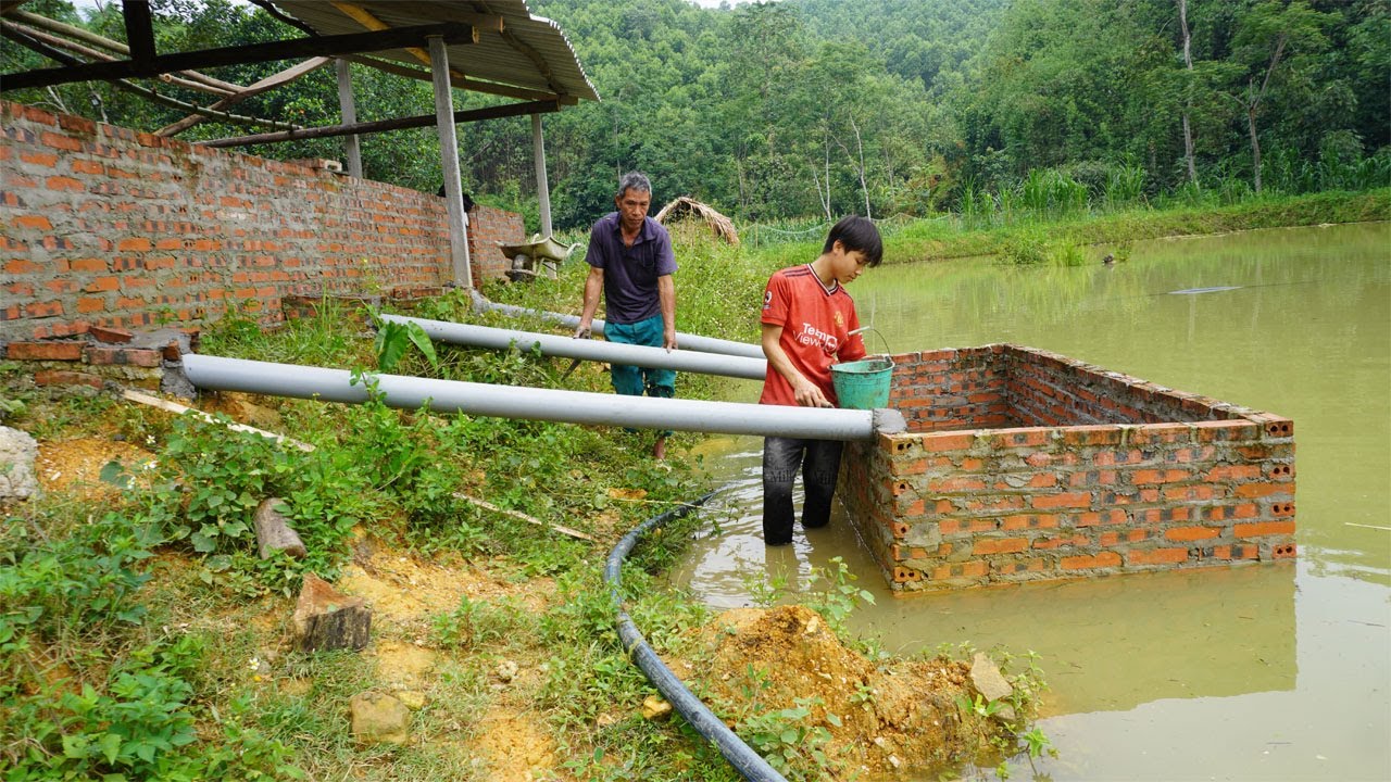 Build pig troughs and water pipes to the tank - Green forest life ...