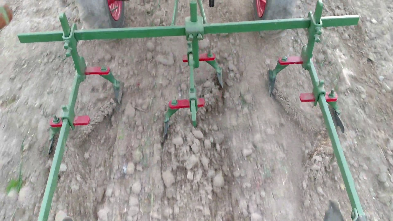 Planet Jr bp1 with muck hoes in field of young onions - YouTube