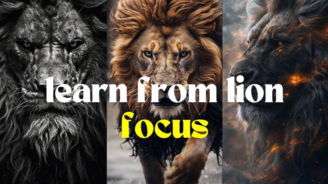 LEARN FROM LION | LIFE LESSON | FOCUS | BY DANZEL WASHINGTON - YouTube