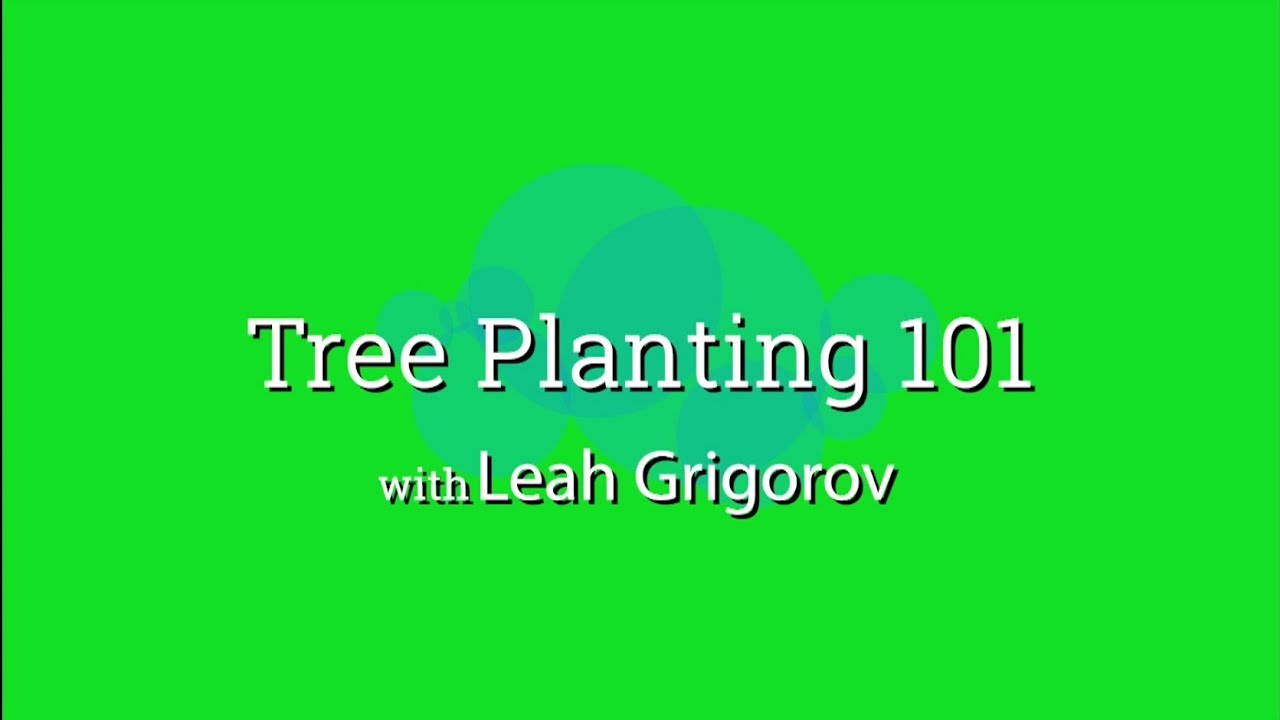 Tree Planting 101 with Leah Grigorov - YouTube