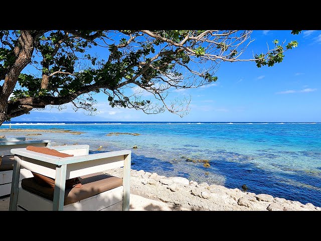 Best Ocean Views Best Western Ocean View Resort (@bestwesternocean)