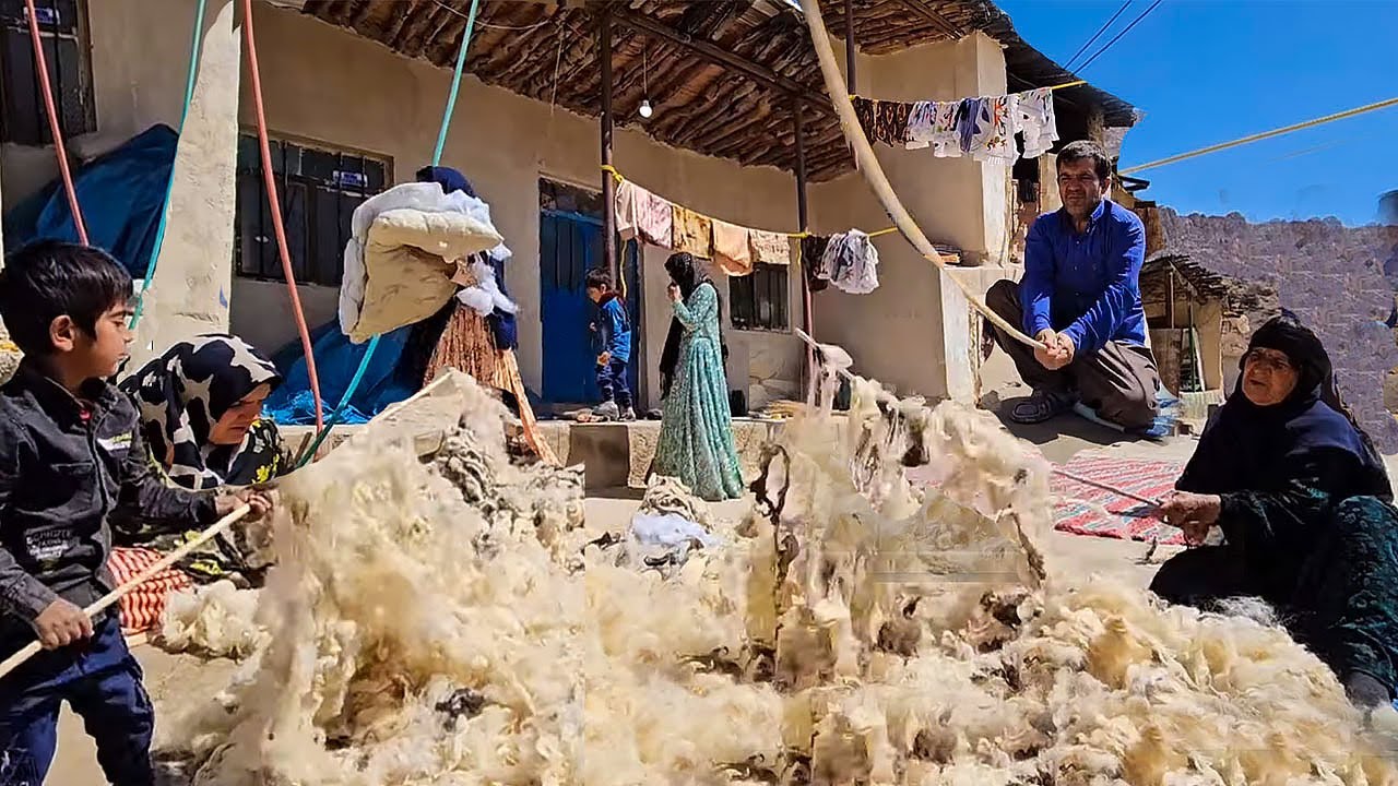 Cleaning Sheep's Wool in the Last Days of Winter by the Grandma's ...