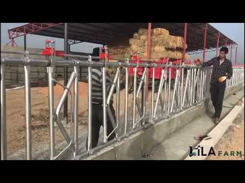 Lila Farm İnek Yemlik Kilit Sistemi