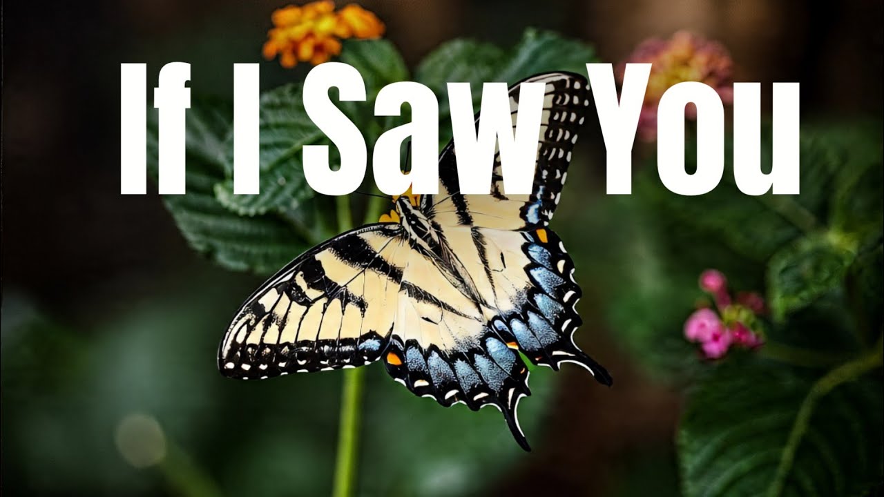 If I Saw You lyrics - YouTube