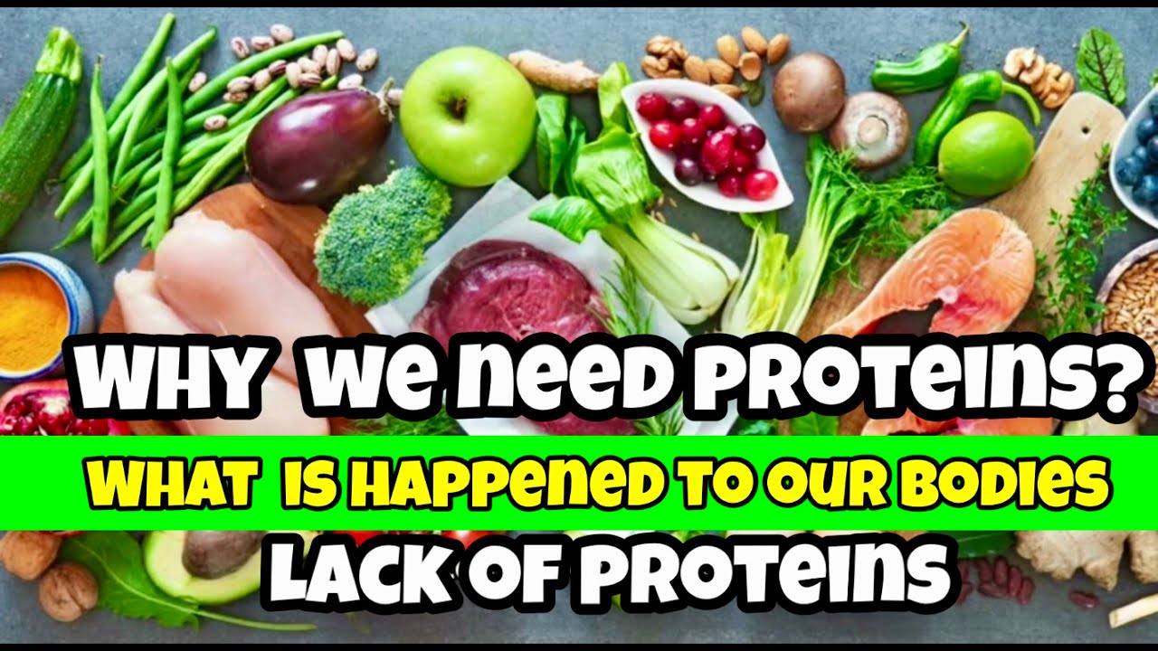 Why We Need Protein? And Benefits of Protein: - YouTube