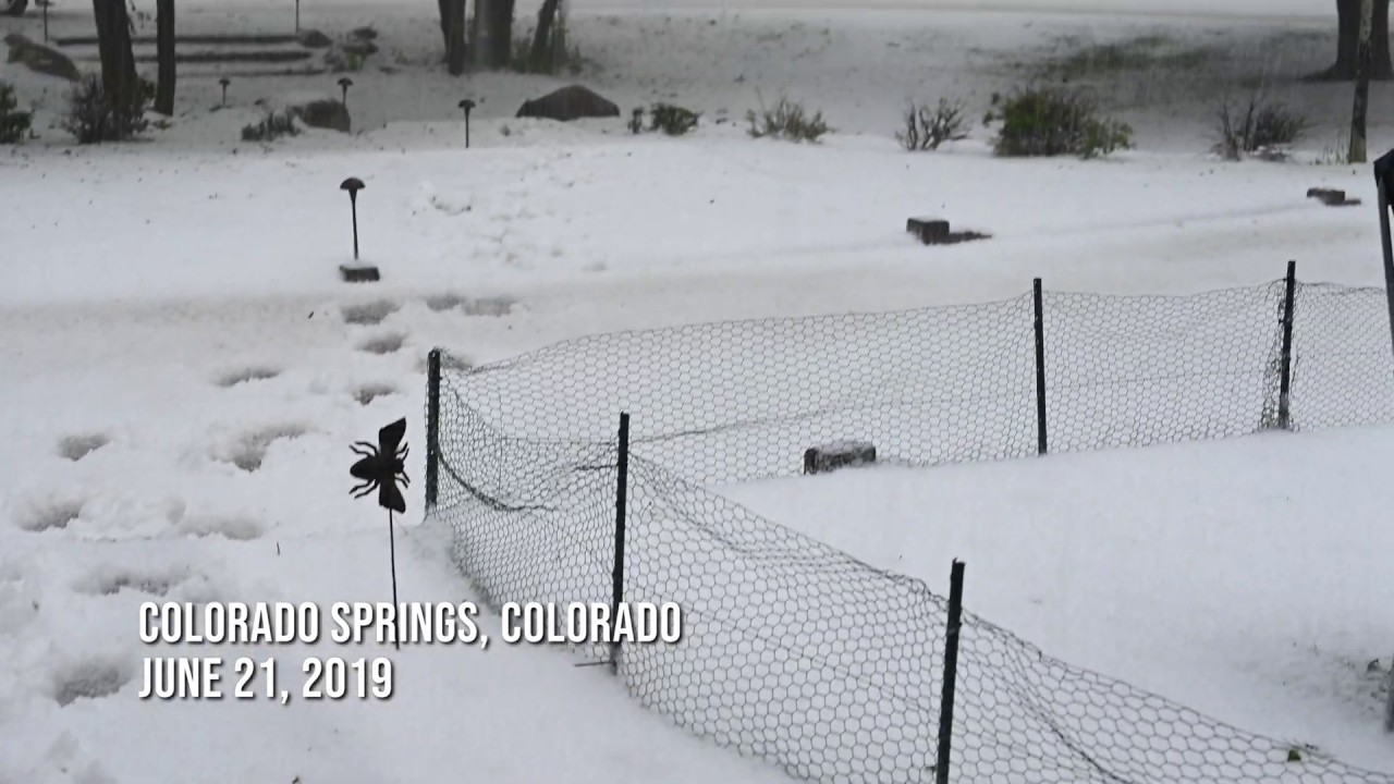 Aerial footage of Colorado Avalanche Tree Damage 2019 - YouTube