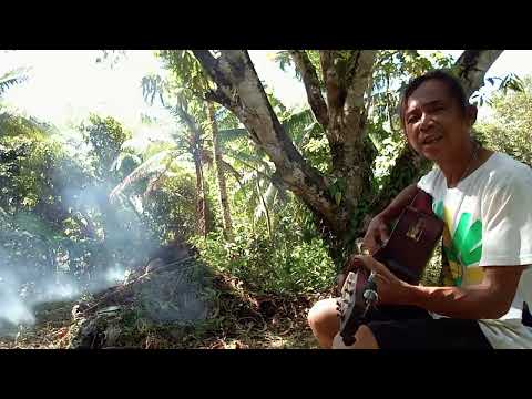 Ikaw na NGA wille revillame(cover by sergie buaquina) - YouTube